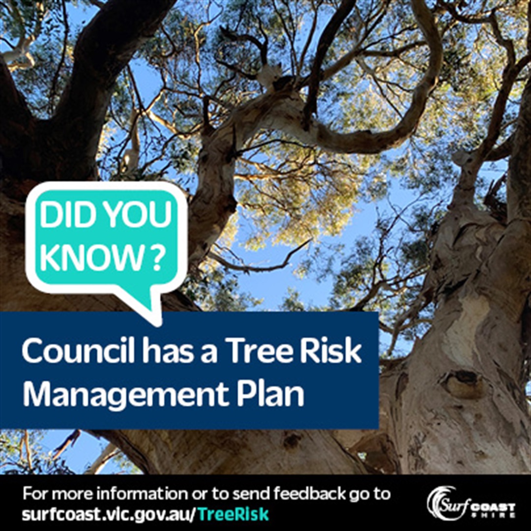 Tree Risk Management Plan 2023-2027 - Surf Coast Shire