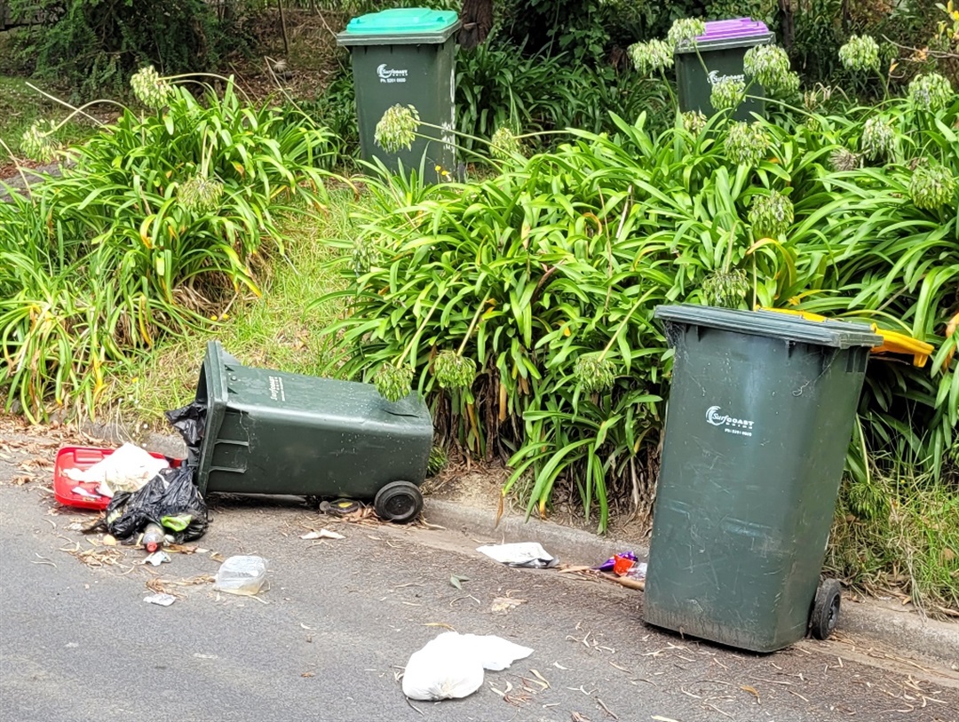 Waste and Council's Local Law - Surf Coast Shire