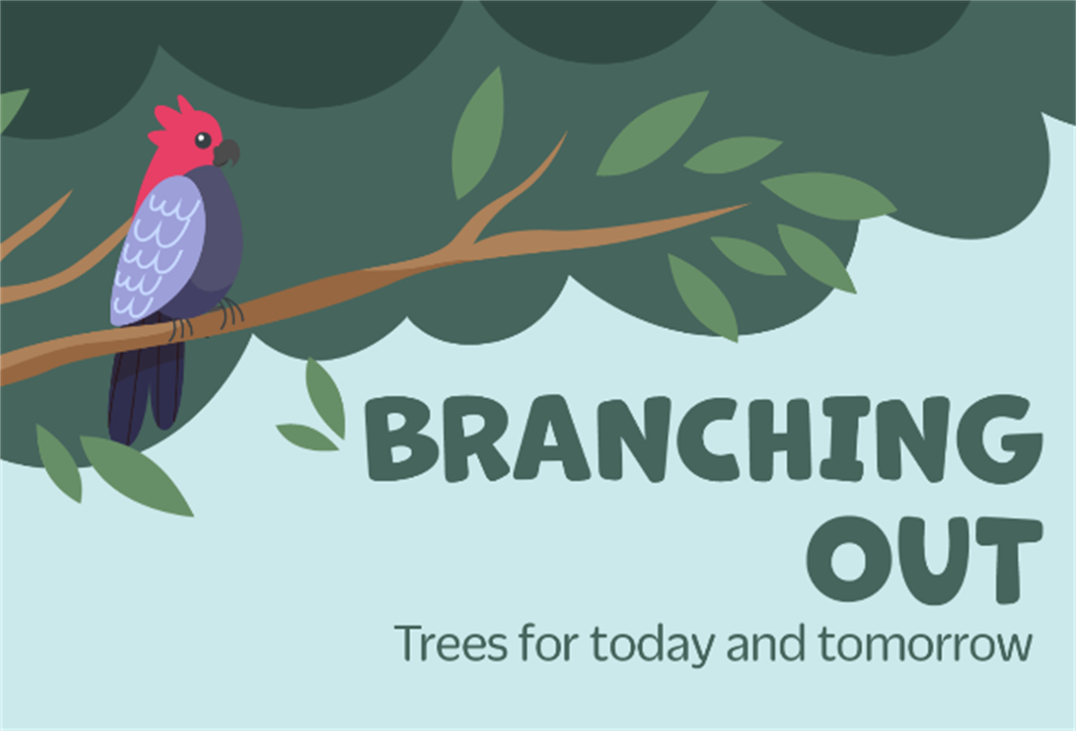 Branching Out - trees for today and tomorrow - Surf Coast Shire