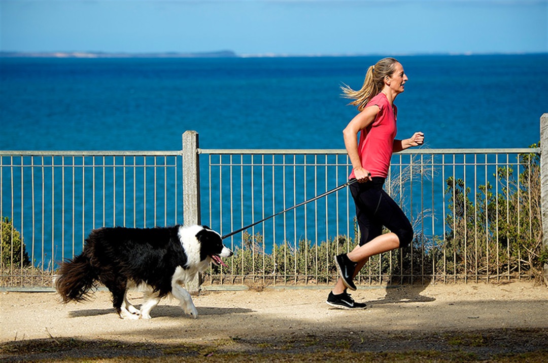 Where to walk your dogs - Surf Coast Shire