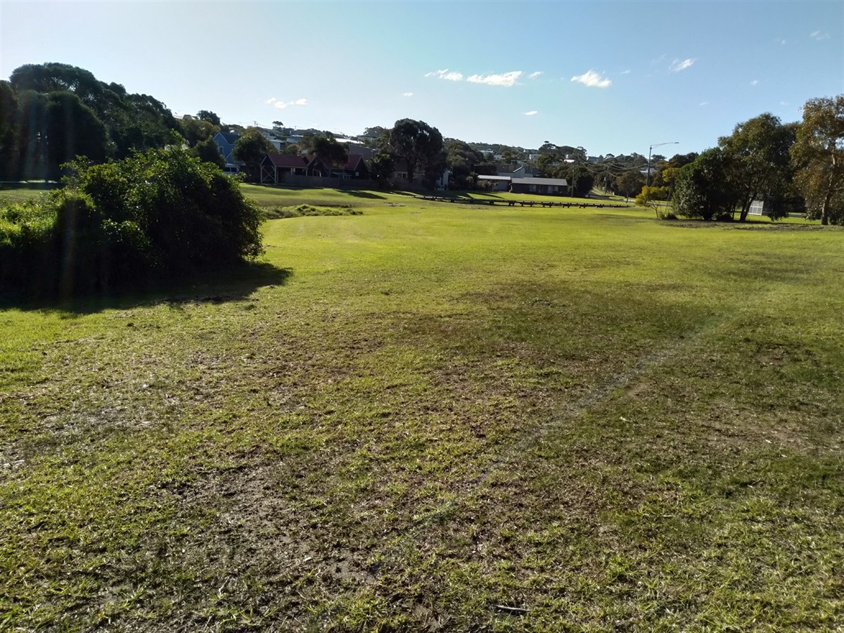 Vehicle access through a Council reserve - Surf Coast Shire