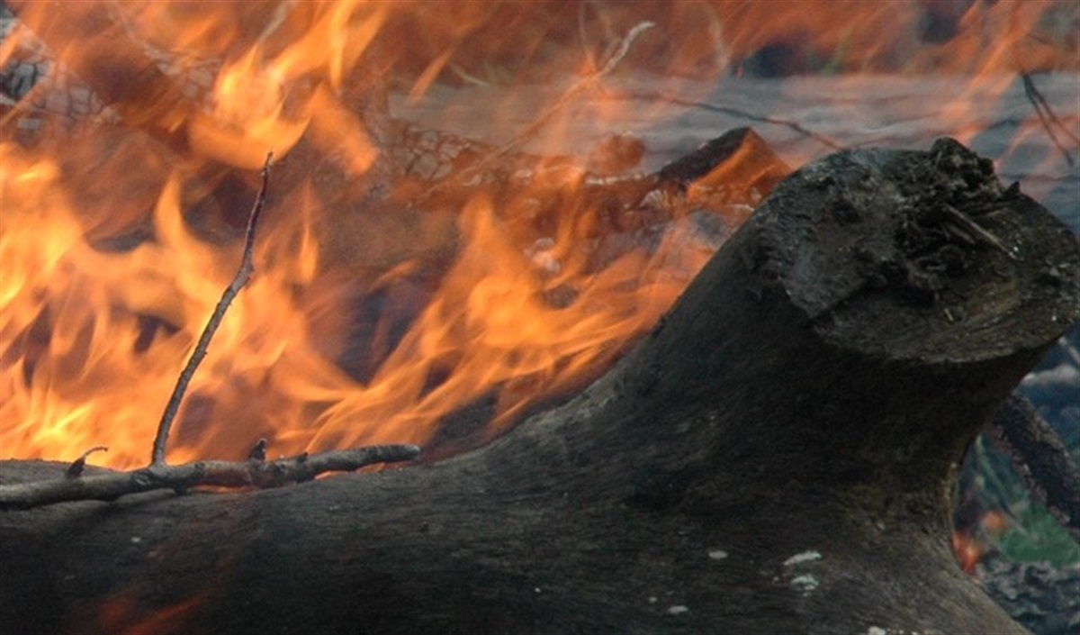 Burning off and fire restrictions - Surf Coast Shire